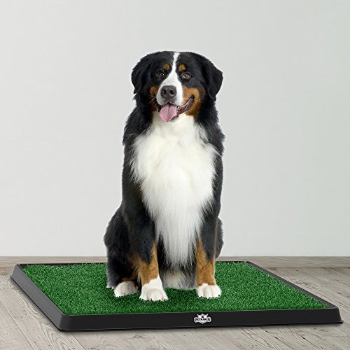 Artificial Grass Puppy Pee Pad for Dogs and Small Pets - 20x25 Reusable 3-Layer Training Potty Pad with Tray - Dog Housebreaking Supplies by PETMAKER