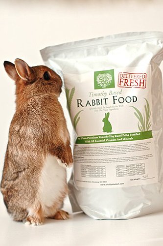 Small Pet Select Rabbit Food Pellets, 10 Lb.