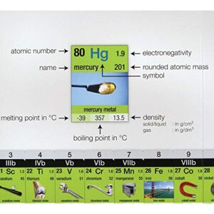 Carolina Student Infographic Periodic Table