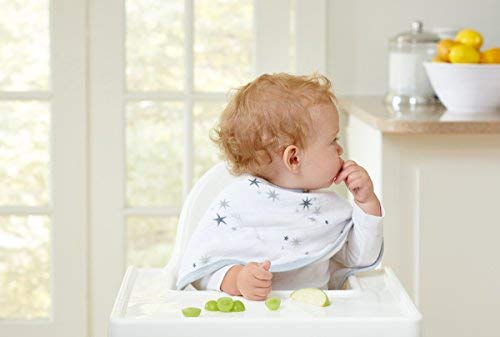 aden + anais Burpy Bib, 100% Cotton Muslin, Soft Absorbent 4 Layers, Multi-Use Burp Cloth and Bib, 22.5" X 11", 2 Pack, Twinkle - Stars