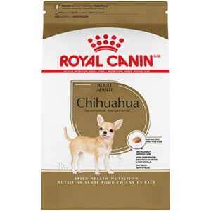 royal canin chihuahua adult dry dog food, 10 lb bag