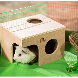 Prevue Pet Products Wood Animal Hut for Guinea Pigs