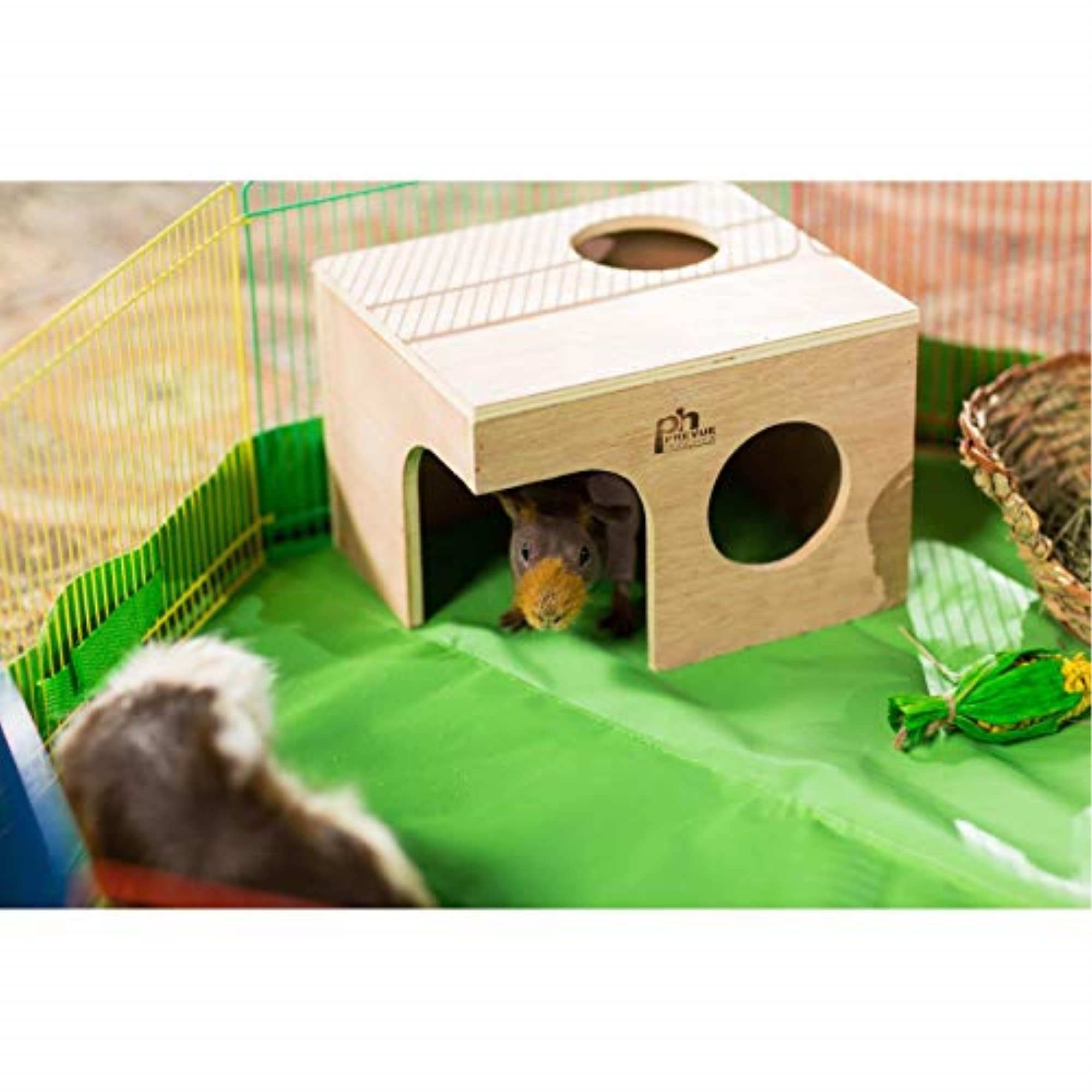 Prevue Pet Products Wood Animal Hut for Guinea Pigs