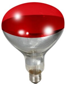 little giant red heat lamp bulb