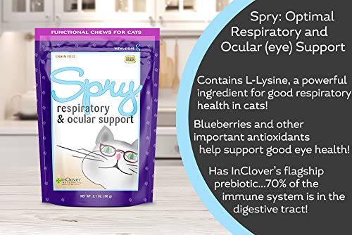 In Clover Spry Daily Respiratory and Ocular Support Soft Chews for Cats, with L-Lysine, Superfoods, and Prebiotics for a Strong Immune System, 2.1 oz. (60 count)