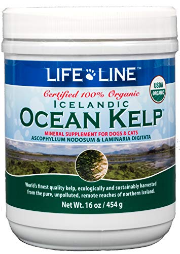 Life Line Pet Nutrition Organic Ocean Kelp Supplement for Skin & Coat, Digestion in Dogs & Cats,16oz, 20101