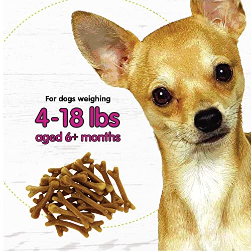 Fido Belly Bones for Dogs, Yogurt Flavored Mini Dog Dental Treats - 21 Treats Per Pack (3 Pack) - for Small Dogs (Made in USA) - Plaque and Tartar Control for Fresh Breath, Digestive Health Support