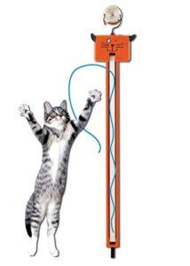 moody pet fling-ama-string cat toy