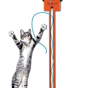 MOODY PET Fling-AMA-String Cat Toy