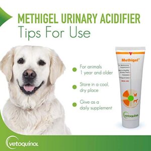 Vetoquinol Methigel Urinary Acidifier to Promote Urinary and Bladder Health for Dogs & Cats