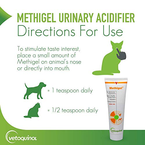 Vetoquinol Methigel Urinary Acidifier to Promote Urinary and Bladder Health for Dogs & Cats