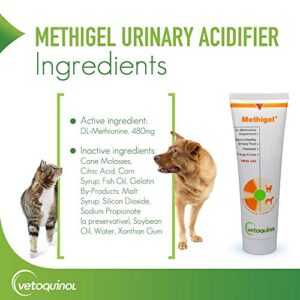 Vetoquinol Methigel Urinary Acidifier to Promote Urinary and Bladder Health for Dogs & Cats