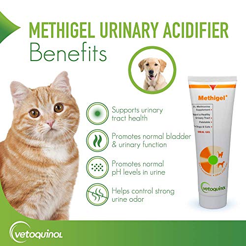 Vetoquinol Methigel Urinary Acidifier to Promote Urinary and Bladder Health for Dogs & Cats