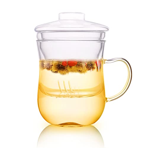 Kendal Tea Cup with Infuser and Lid, Clear Glass Mug 10 oz 300ml