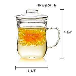 Kendal Tea Cup with Infuser and Lid, Clear Glass Mug 10 oz 300ml