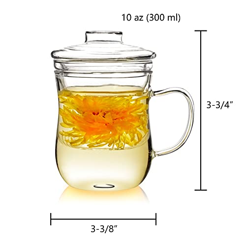 Kendal Tea Cup with Infuser and Lid, Clear Glass Mug 10 oz 300ml