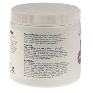 Corona Horseman's Dream Vet Cream Jar Horse Minor Wounds Skin Soothe Conditions, 16 oz