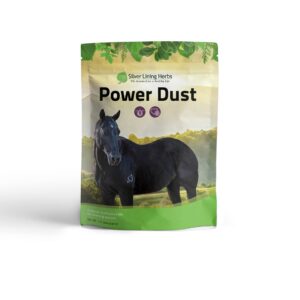 silver lining herbs 16 power dust - herbal horse first aid powder or poultice mix - natural herbs for horses - horse treatment & care - natural equine first aid - 1 lb bag