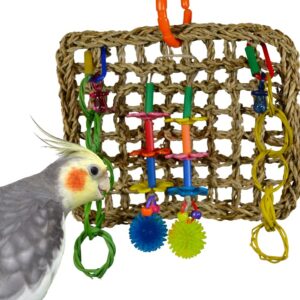 Super Bird Creations SB741 Seagrass Mini Activity Wall Bird Toy, Medium Bird Size, 9” x 7” x 2”