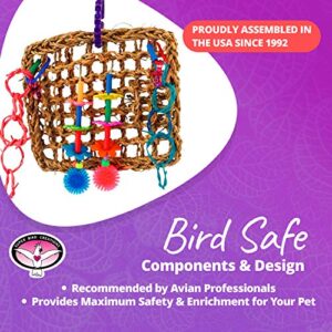 Super Bird Creations SB741 Seagrass Mini Activity Wall Bird Toy, Medium Bird Size, 9” x 7” x 2”