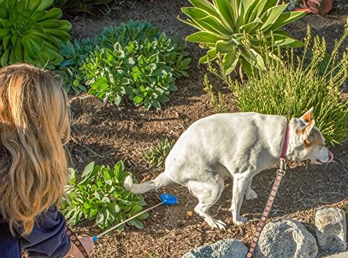 PawCheck P-Scoop Dog Urine Collector - Reusable and Telescopic Dog Urine Catcher extends to 29"