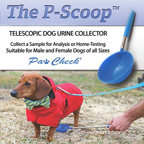 PawCheck P-Scoop Dog Urine Collector - Reusable and Telescopic Dog Urine Catcher extends to 29"