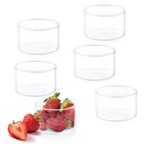 borosil small glass bowl for dessert, 3.5 oz, set of 6, mini ramekins for baking, lightweight borosilicate glass, clear glass bowls for serving dips & sauce - oven safe, microwave & dishwasher safe