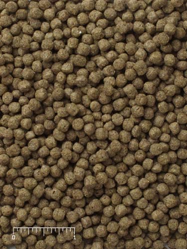 Mazuri | Koi Floating Pond Nuggets| 20 Pound (20 lb.) Bag