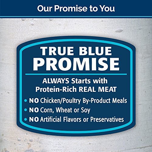 Blue Buffalo Wilderness Rocky Mountain Recipe High Protein, Natural Adult Dry Cat Food, Red Meat 10-lb