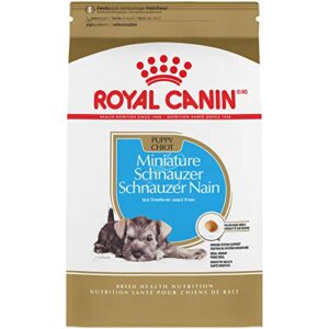 royal canin breed health nutrition miniature schnauzer puppy dry dog food, 2.5 lb