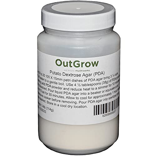 Potato Dextrose Agar (PDA)