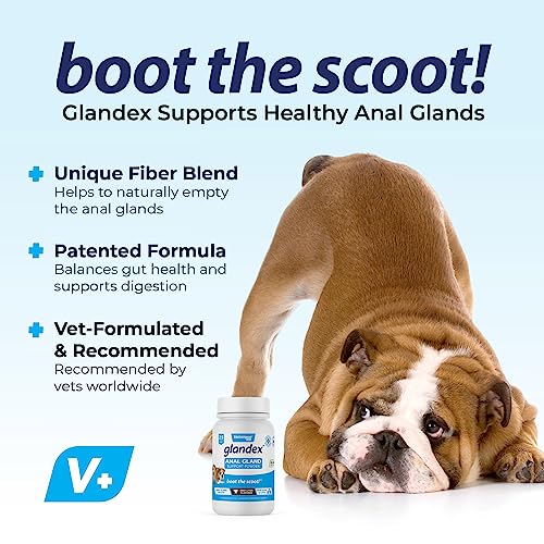 Glandex Dog & Cat Anal Gland Sac Fiber Supplement Powder with Pumpkin, Digestive Enzymes & Probiotics – Vet Recommended Healthy Bowels & Digestion - Boot The Scoot 2.5oz Beef Liver - by Vetnique Labs