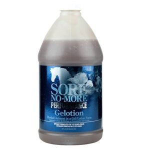 arenus sore no more performance gelotion 1 gallon