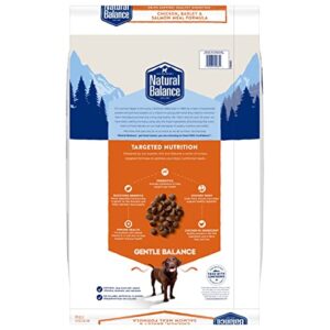 Natural Balance Gentle Balance Chicken Barley & Salmon Meal Adult Dry Dog Food 26 Pound (Pack of 1)