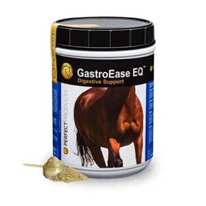 Perfect Products GastroEase EQ 2lb