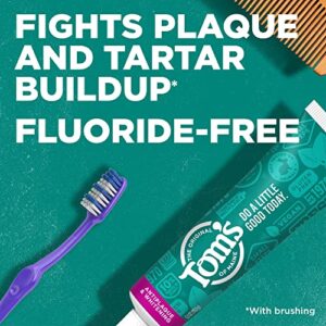 Tom's of Maine Fluoride-Free Antiplaque & Whitening Natural Toothpaste, Peppermint, 5.5 Ounce 2-Pack (Packaging May Vary)