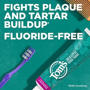 Tom's of Maine Fluoride-Free Antiplaque & Whitening Natural Toothpaste Gel, Spearmint, 4.7 oz. 2-Pack (Packaging May Vary)