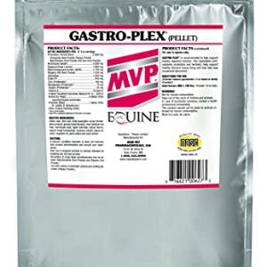 Gastro-Plex (3 lb) Supports Gut Health and Hindgut Digestion in Horses