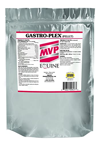 Gastro-Plex (3 lb) Supports Gut Health and Hindgut Digestion in Horses