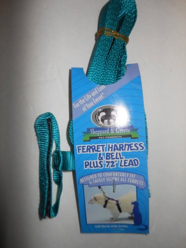 Sheppard & Greene Ferret Harness & Bell Plus 72 Inch Lead (Teal)