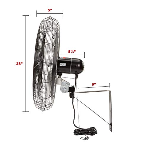 TPI 8749102 CACU24WO Oscillating Commercial Wall Fan, 24"