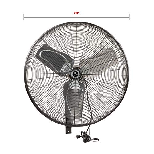 TPI 8749102 CACU24WO Oscillating Commercial Wall Fan, 24"