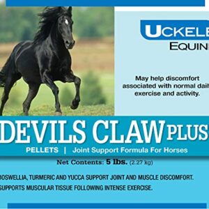 Uckele Devils Claw Plus Horse Supplement - Equine Vitamin & Mineral Supplement - 5lbs Pellets