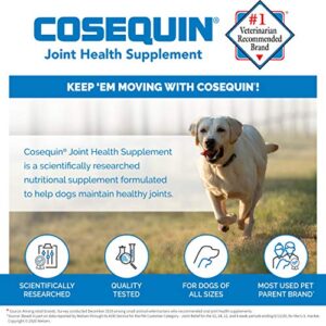 Cosequin DS Plus MSM Professional Line for Dogs, 60 soft chews