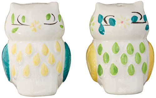 Floral Owl Salt & Pepper Shakers, Hand-painted Ceramic by Boston Warehouse, 2-Piece Set, Multicolor