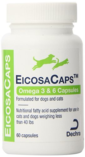 Dechra 60 Capsules EicosaCaps Fish Oil Nutritional Supplements for Dogs and Cats Up to 40-Pound