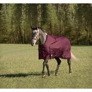 rider's international by dover saddlery supreme heavyweight turnout blanket, size 84, burgundy/black