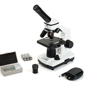 Celestron – Celestron Labs – Monocular Head Compound Microscope – 40-800x Magnification – Adjustable Mechanical Stage – Includes 2 Eyepieces and 10 Prepared Slides