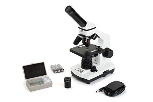 Celestron – Celestron Labs – Monocular Head Compound Microscope – 40-800x Magnification – Adjustable Mechanical Stage – Includes 2 Eyepieces and 10 Prepared Slides