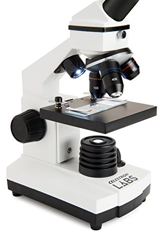 Celestron – Celestron Labs – Monocular Head Compound Microscope – 40-800x Magnification – Adjustable Mechanical Stage – Includes 2 Eyepieces and 10 Prepared Slides